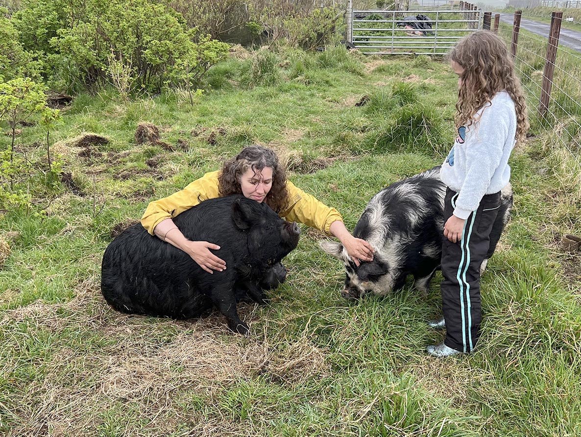 Wheems Farm - Wild Orcadian